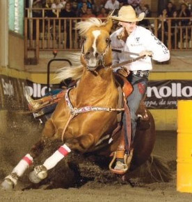 Sophisticated Catt » Brightstone Ranch